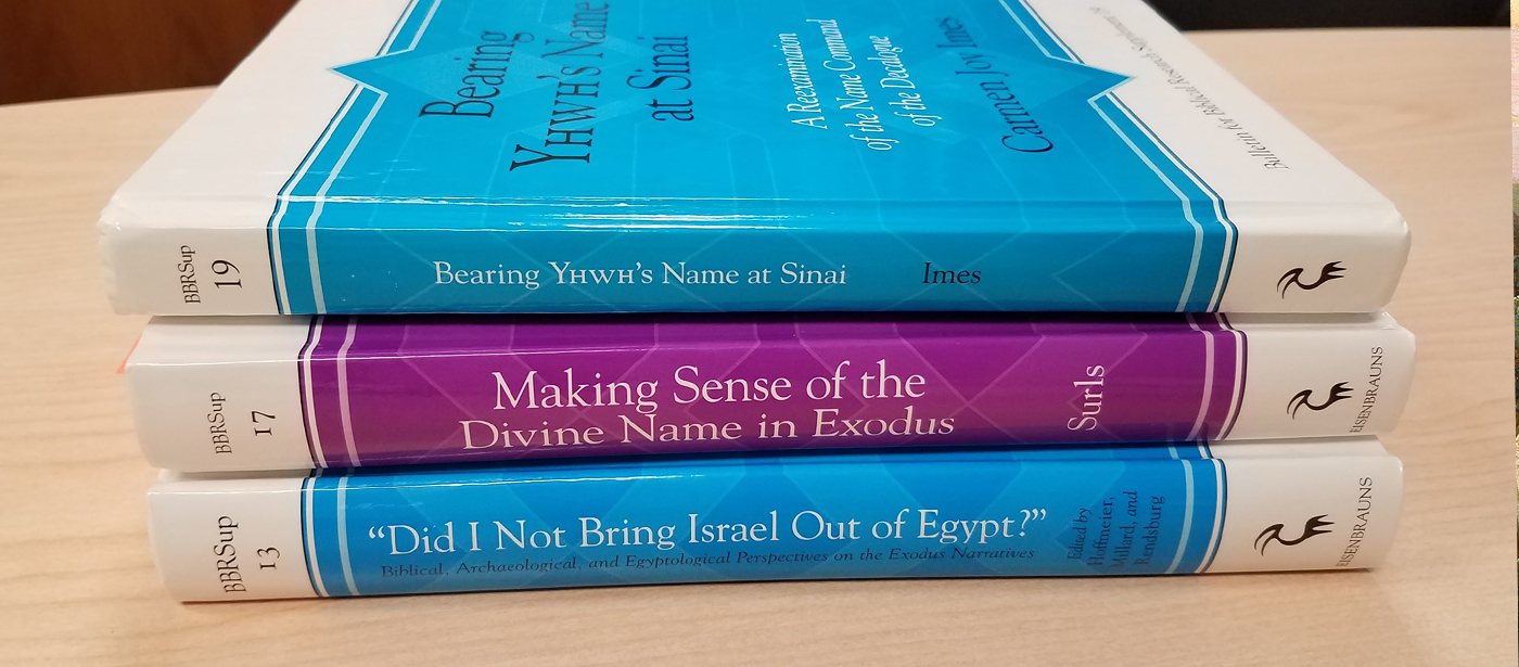 BBR Supplements Series - Institute for Biblical Research